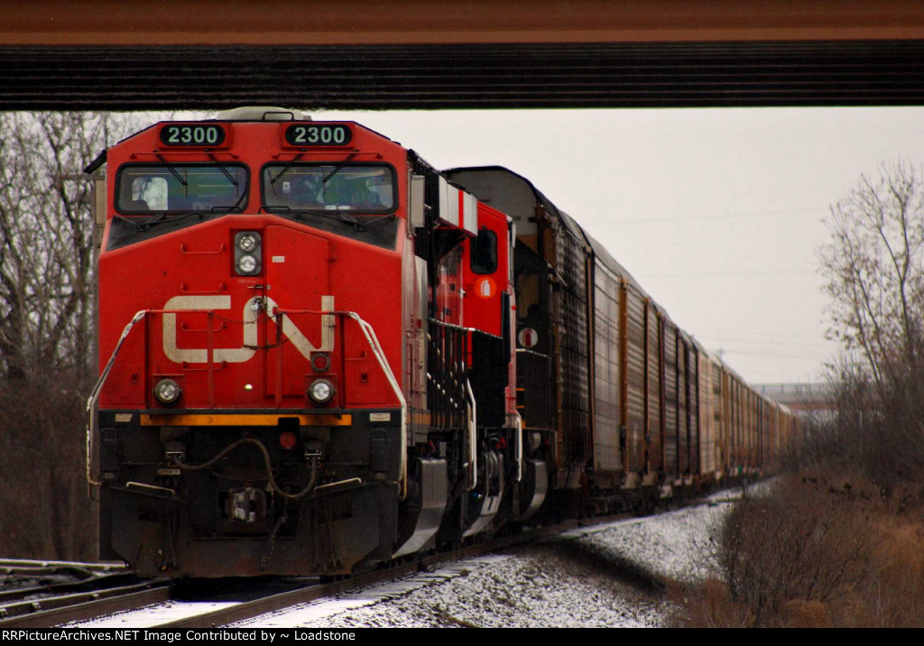 CN 2300